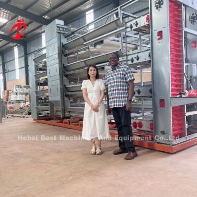 China 6 Tiers Chicken Cage  Broiler Poultry Equipment for Optimal Space Utilization and Automation Doris for sale