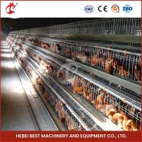 China 120 Birds Hot Galvanized Battery Cage A Type Layer Chicken Cage Mia for sale