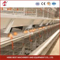China Large Capacity Galvanized Steel Cage System For Poultry Farm Mia for sale