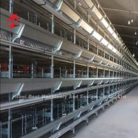 China New Design H Type Automatic Chicken Cage System 96-200 Birds Capacity For Poultry Farming Emily Wang for sale