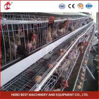China A Type Layer Cage System New 96-200 Capacity Battery Raising Equipment Mia for sale