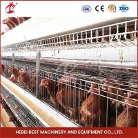 China A Type Layer Cage System New 96-200 Capacity Battery Raising Equipment Mia for sale