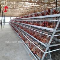 China Comprehensive Poultry Farming Cage System With Automatic Nipple Drinkers And Installation Tools Iris for sale