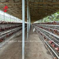 China Best Brand Reliable Poultry Farming Cage System Of Poultry Management Iris for sale