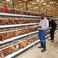 China Comprehensive Poultry Farming Cage System With Automatic Nipple Drinkers And Installation Tools Iris for sale