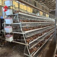 China Best Brand Reliable Poultry Farming Cage System Of Poultry Management Iris for sale