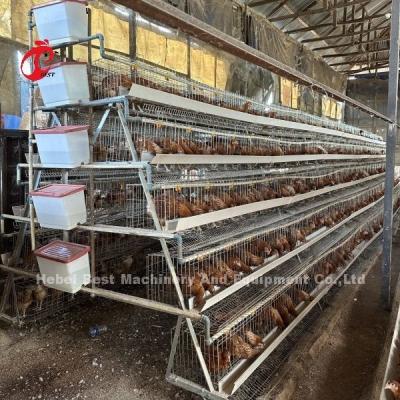 China Best Brand Reliable Poultry Farming Cage System Of Poultry Management Iris for sale