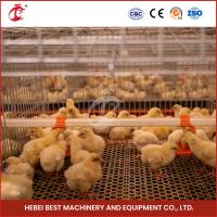 China Galvanized Poultry Farming Cage System With 2.8-3.5mm Cage Wire Diameter Mia for sale
