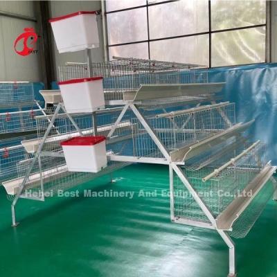 China Advanced Poultry Farming Cage System With Automatic Nipple Drinkers Emily Wang for sale