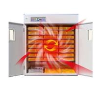 China Industrial Automatic Egg Hatching Incubator Double-Layer Observation Window 220v for sale