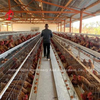 China Poultry Farming Cage System A Type 3 4 Tiers Egg Layer Cage Chicken Emily for sale