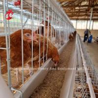 China China Factory Battery Layer Cage 5 tier With Poultry Equipment For Africa Market Sandy for sale