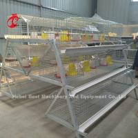 China Premium Poultry Farm A Type Pullet Chicken Cage Battery Chicken Brooding Cage Iris for sale
