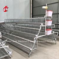 China Automatic 120 Birds Poultry Farm Layer Cage Silver Adela for sale
