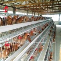 China Poultry Farming Cage System Galvanized Egg Layer Cage 40 doors In Africa Adela for sale