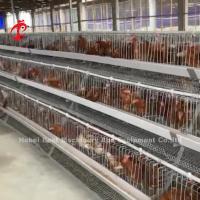 China Layer Cage System Perfect Solution For Poultry Industry Capacity 2-4 Birds/Cell Adela for sale