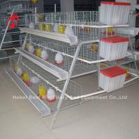 China 3 tiers Pullet Chicken Cage For 1 Week Small Chick Brooder Cage Doris for sale