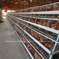China Angle Bar Frame Poultry Battery Cage System H Type Layer Chicken Cage Africa Doris for sale