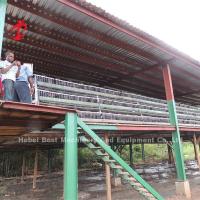 China Angle Bar Frame Poultry Battery Cage System H Type Layer Chicken Cage Africa Doris for sale