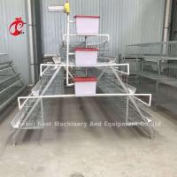 China Most Popular Battery Cage Price In Nigeria Poultry Farming Hot Galvanized Adela for sale