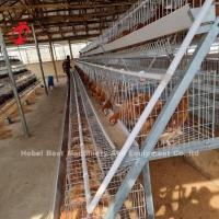 China Most Popular Battery Cage Price In Nigeria Poultry Farming Hot Galvanized Adela for sale
