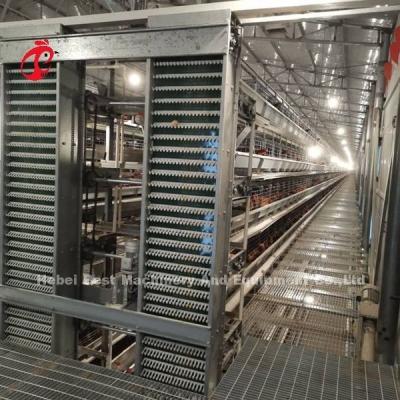 China Customized Automatic Egg Collection Feeding Hopper System For 30,000 Chicken Farm Doris for sale