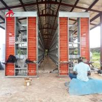 China Customized Automatic Egg Collection Feeding Hopper System For 30,000 Chicken Farm Doris for sale
