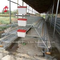 China A H type Automatic Layer Poultry Equipment Breeder Chicken Cage System Sandy for sale