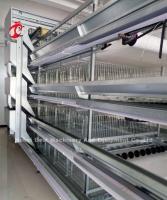 China A H type Automatic Layer Poultry Equipment Breeder Chicken Cage System Sandy for sale