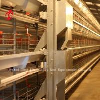 China Electric Control Poultry Layer Cage System Layer Chicken Steel Cage Emily for sale