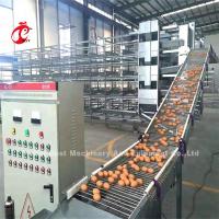 China H Type Layer Battery Cage System 4 Rows Layer Poultry Farm Equipment CE Approval Sandy for sale