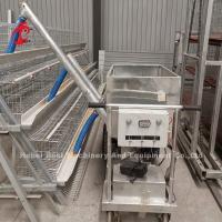 China Semi Automatic Poultry Layer Cage 15000 Birds Manual Poultry Cage In Nigeria Iris for sale