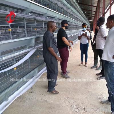 China H Type Layer Battery Cage System 4 Rows Layer Poultry Farm Equipment CE Approval Sandy for sale