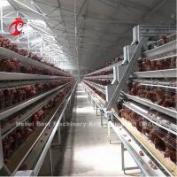 China A H Type Automatic Laying Chicken Poultry Farming  Cage System In Africa Market Iris for sale