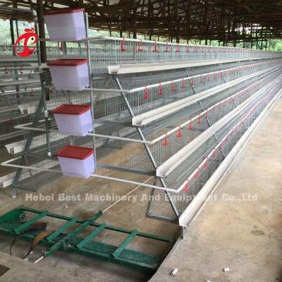 China Premium H type Layer Battery Cage Price In Nigeria stable Iris for sale