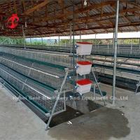 China Premium H type Layer Battery Cage Price In Nigeria stable Iris for sale