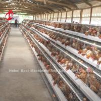 China Nigeria Warehouse Premium And Deluxe Poultry Battery Cage System For Layer Chickens  Sandy for sale