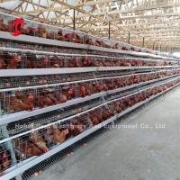 China Toughness House Design Laying Chicken Battery Cage System With Cage Mesh Iris for sale