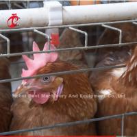 China Automatic Battery Layer Cage , Poultry Farming Cage Nigeria Lagos Sandy for sale