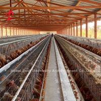 China 120-Cage Automatic Battery Chicken Cage System with Galvanized Surface Adela for sale