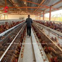 China 3/4/5/6/7/8 Tiers Poultry Layer Cage System with Automatic Feeder Adela for sale