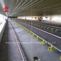 China Automatic Broiler Chicken Cage with Floor Feeder Pan Drinking System Emily for sale