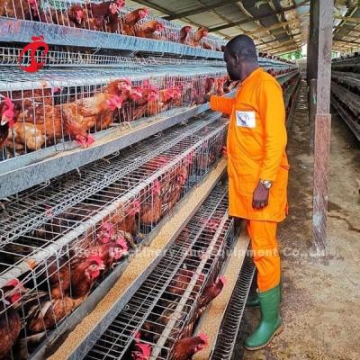 China Galvanized Poultry Layer Cage 3 Tier 120 Birds And  4 Tier 160 Birds Layer Farming Cage Sandy for sale