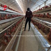 China Wholesale Q235 Steel Layer Battery Cage Price In Nigeria Long Lifespan Mia for sale