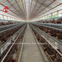 China Uganda 4 Tiers  Poultry Layer Cage For Sale Farm Chicken 100 KG Mia for sale