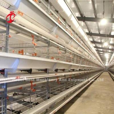 China Full Automatic Battery Cage Price In Nigeria H type layer  Mia for sale