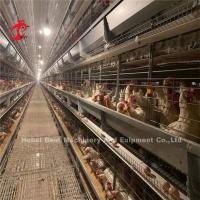 China 144 Birds Capacity H Type  Layer Cage For Commercial Chicken  Mia for sale
