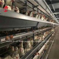 China 3 4 Tiers Automatic Layer Chicken Battery Cages For Laying Hens Mia for sale
