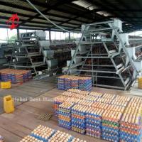 China Full Automatic Layer Chicken Cage Commercial Chicken Battery Cage System CE Adela for sale