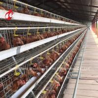 China Full Automatic Layer Chicken Cage Commercial Chicken Battery Cage System CE Adela for sale